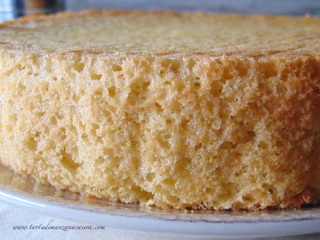 Bizcocho Pan di Spagna | Tarta de manzana